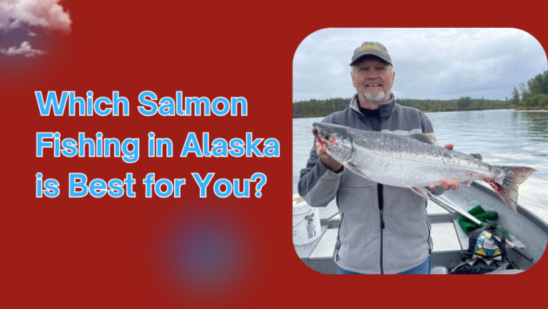 Which Salmon Fishing in Alaska is Best for You?